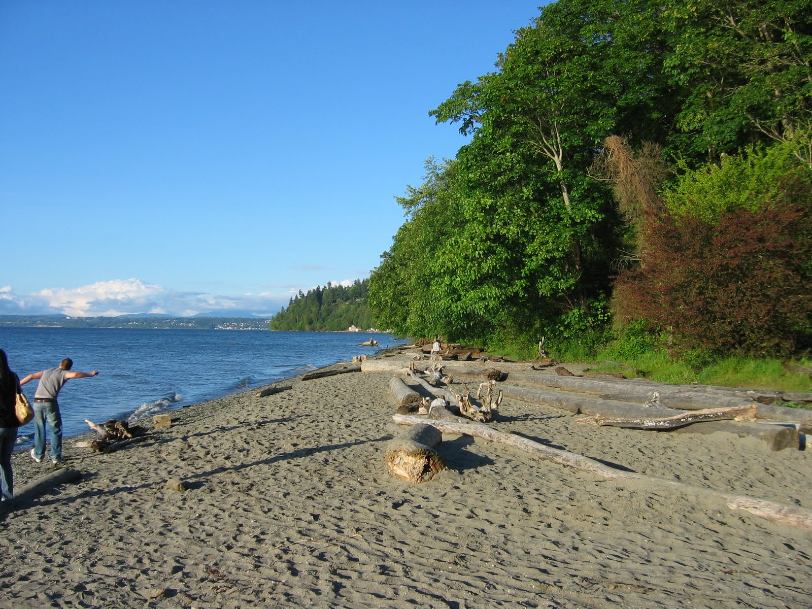 Dash Point State Park, Master Plan Suitability Analysis | Fred Glick Design Dash Point State Park, Master Plan Suitability Analysis | Fred Glick Design